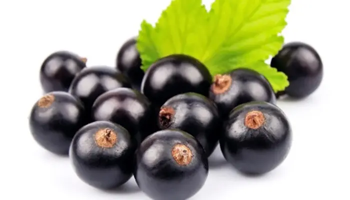 How to Incorporate Maqui Berry into Your Diet | Blog